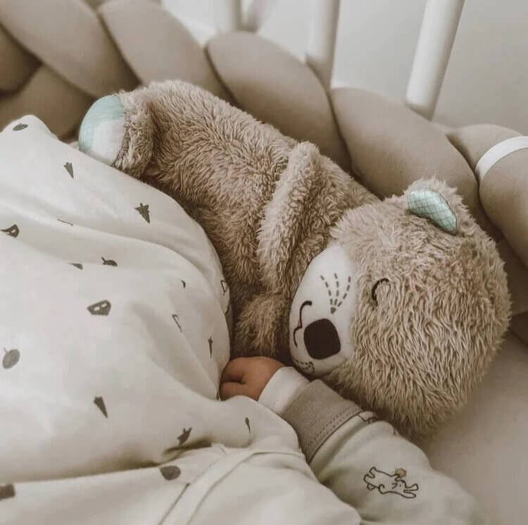 The Dreamy Otter – ALLENDE