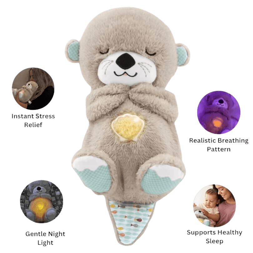 Dreamy Otter – ALLENDE