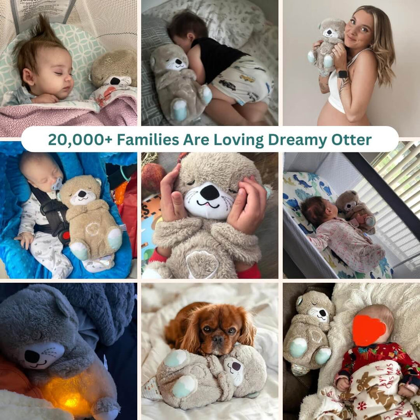 The Dreamy Otter – Soothing Sleep Companion for Babies & Kids – ALLENDE